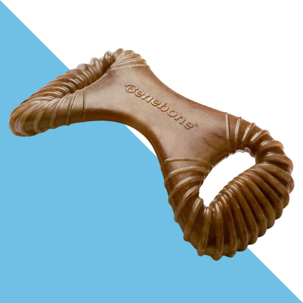 צעצוע לעיסה לכלב בנבון שמיניה מידה S-L בייקון Benebone - ג'אנגו